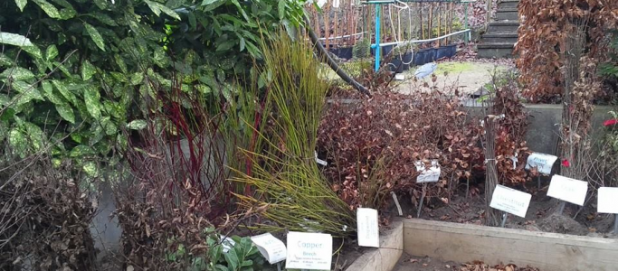 Ardcarne Garden Centre in Boyle and Roscommon Town