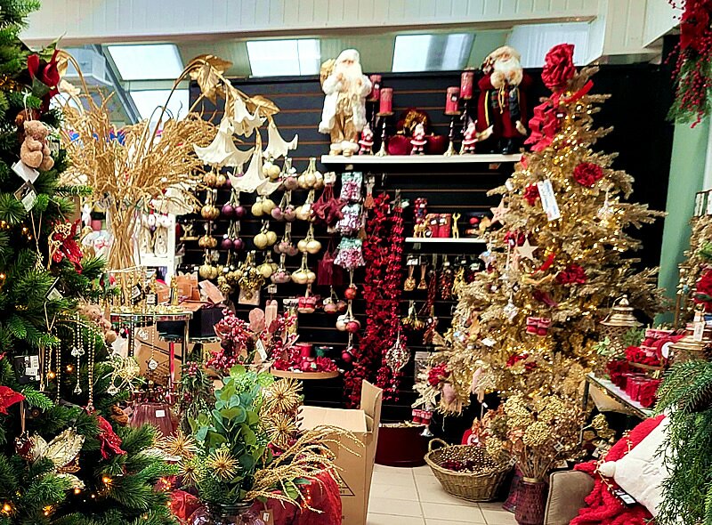 Ardcarne Garden Centre Boyle, Roscommon Town & Online