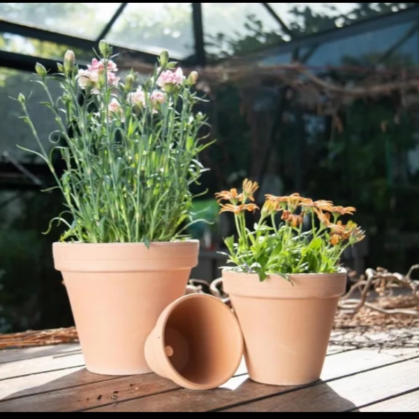 Antique Clay Standard Pot (16cm dia.) - Ardcarne Garden Centre ...