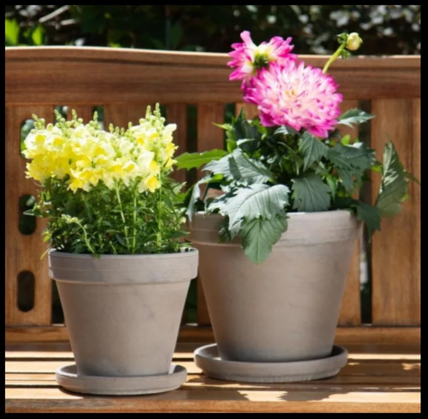Basalt Clay Standard Pot (16cm dia.) - Ardcarne Garden Centre ...