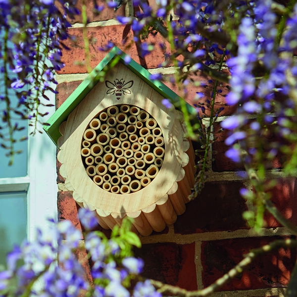 Bee Shack - Ardcarne Garden Centre | Roscommon Town, Boyle & Online