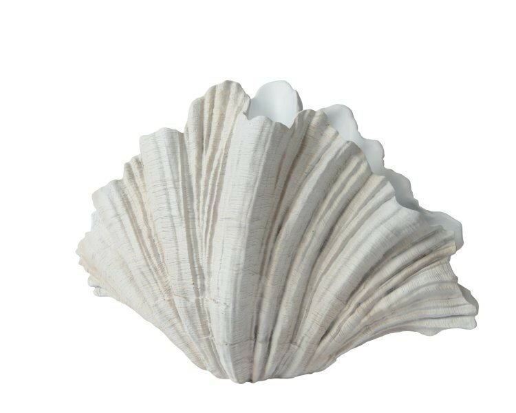 Clam Shell Planter - Ardcarne Garden Centre | Roscommon Town, Boyle ...