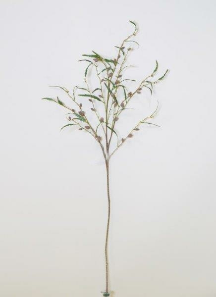 Fortune Fruit Single Branch - Ardcarne Garden Centre | Roscommon Town ...