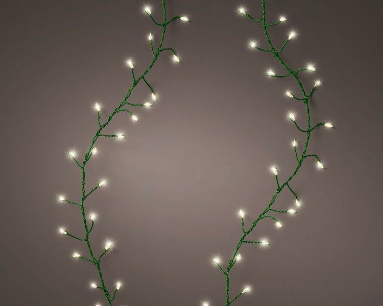 Micro LED 480 warm white twinkle lights, green wire - Ardcarne Garden ...