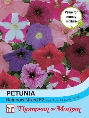 Petunia Rainbow Mixed F2 Hybrid (600) - Ardcarne Garden Centre ...