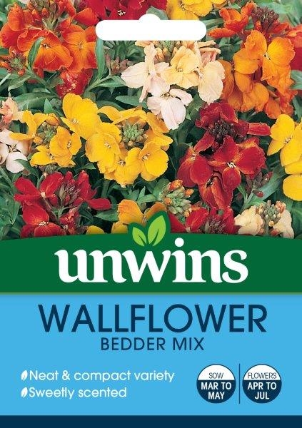 Wallflower Bedder Mix - Ardcarne Garden Centre | Roscommon Town, Boyle ...